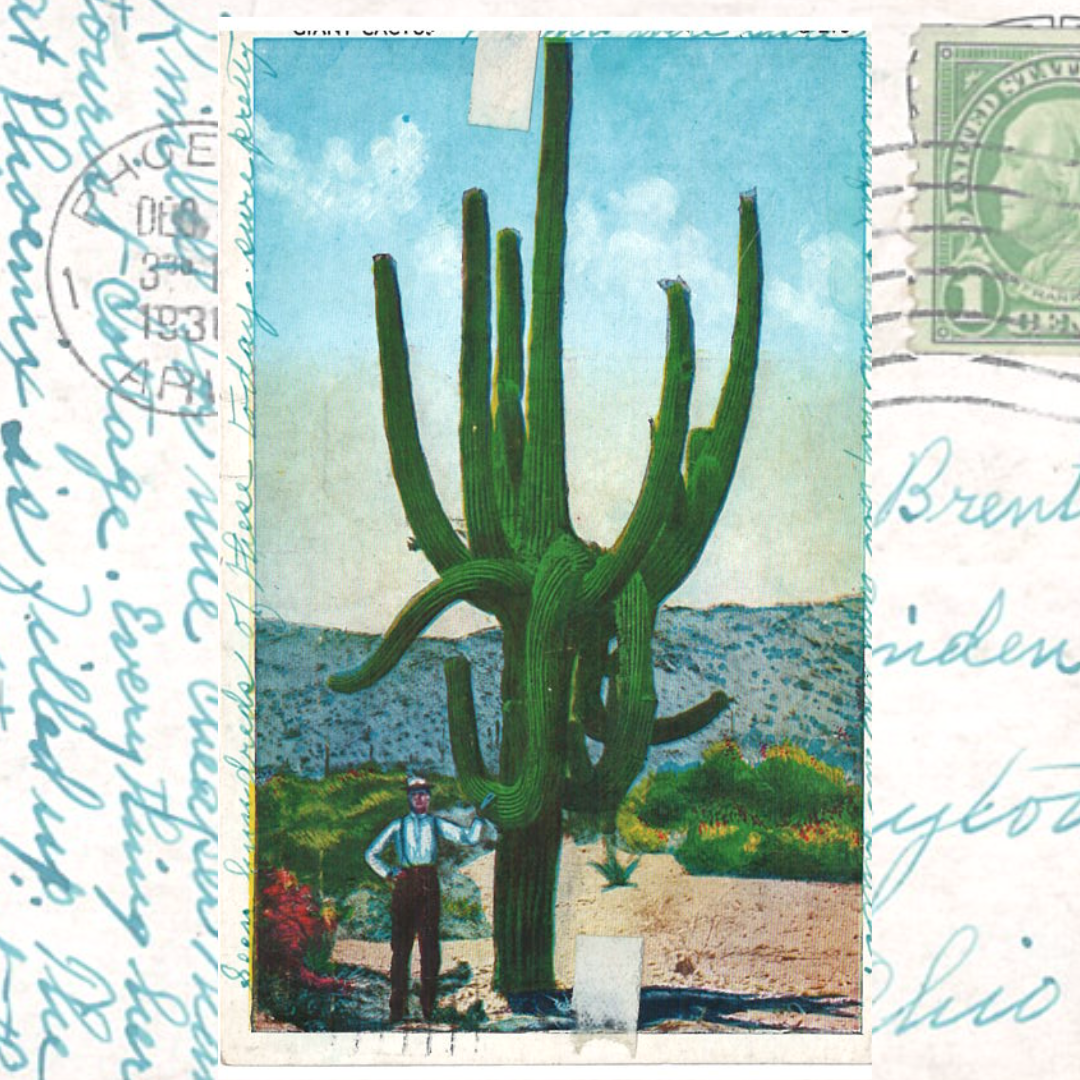 1936: TB Patients in Arizona and Mrs. Kenneth Brentlinger’s Story ...