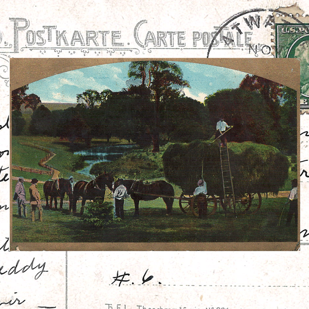 The Enigma of Miss Laura Hanson’s Wintery 1909 Postcard – Hipstory